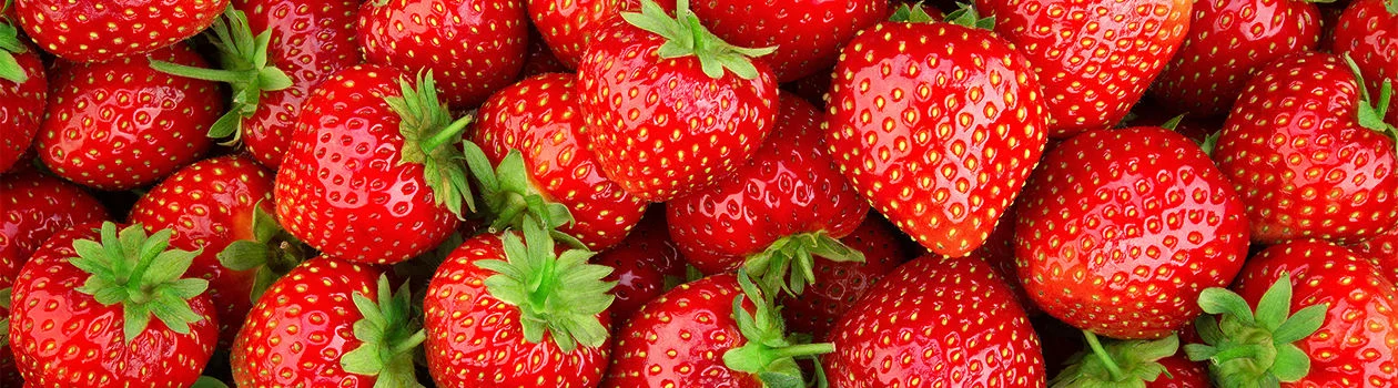 All You Need to Know About Strawberries | Sobeys Inc.