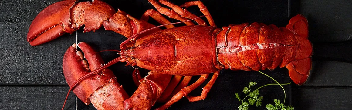How to Prepare, Shell and Cook Lobster | IGA