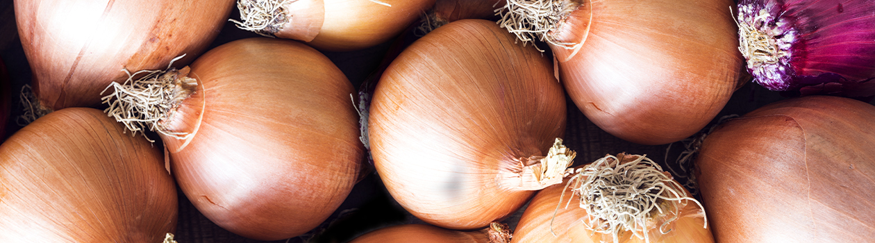 The ultimate onion guide | Sobeys Inc.